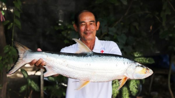 Fish feared extinct seen after almost 20 years - The Ghanaian Chronicle