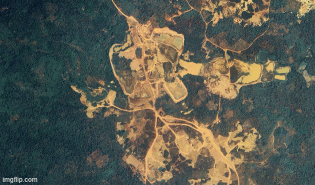 Nature Under Attack: The Long Fight To Protect Ghana’s Atewa Forest ...